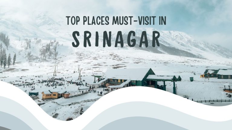 Srinagar Local Sightseeing Itinerary | Top Attractions 2024 - Travelbay